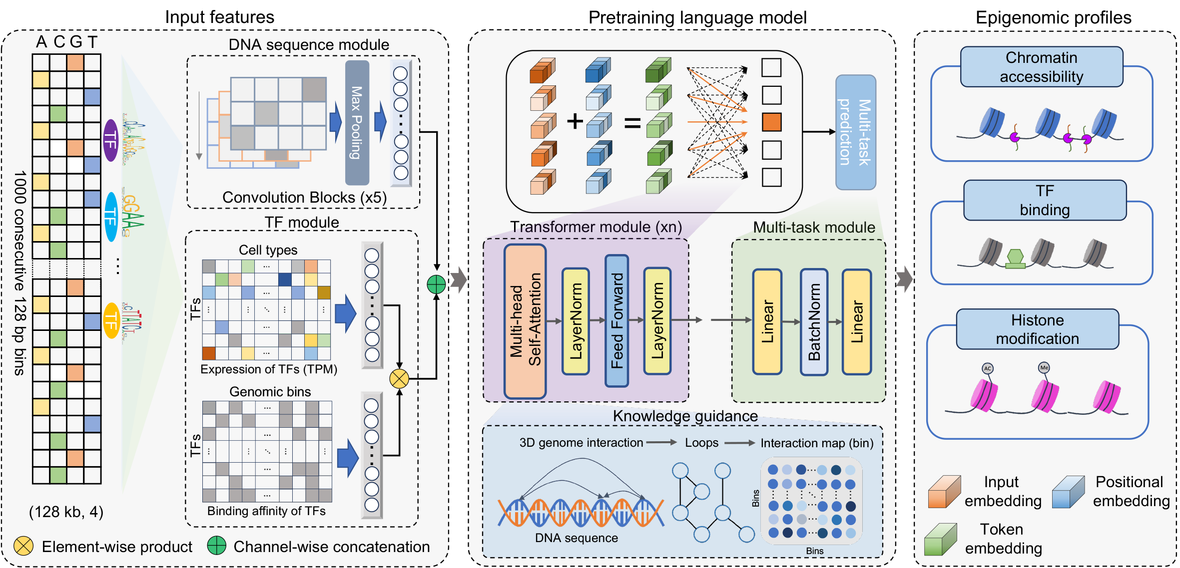 EpiGePT: a pretrained transformer-basedlanguage model for context-specific humanepigenomics ...